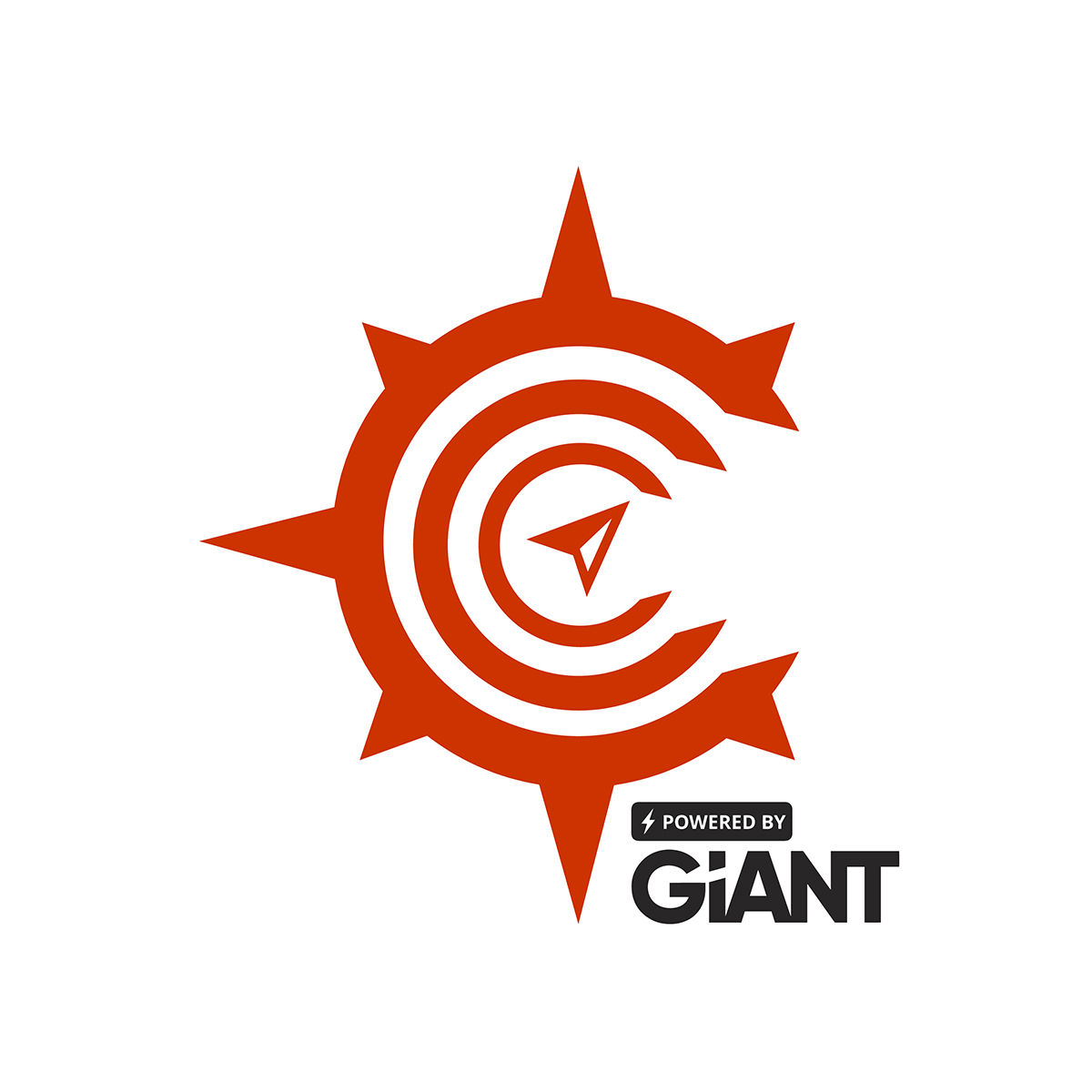 Leadership Resources | Guides & Tools | Compass Coaching and Consulting