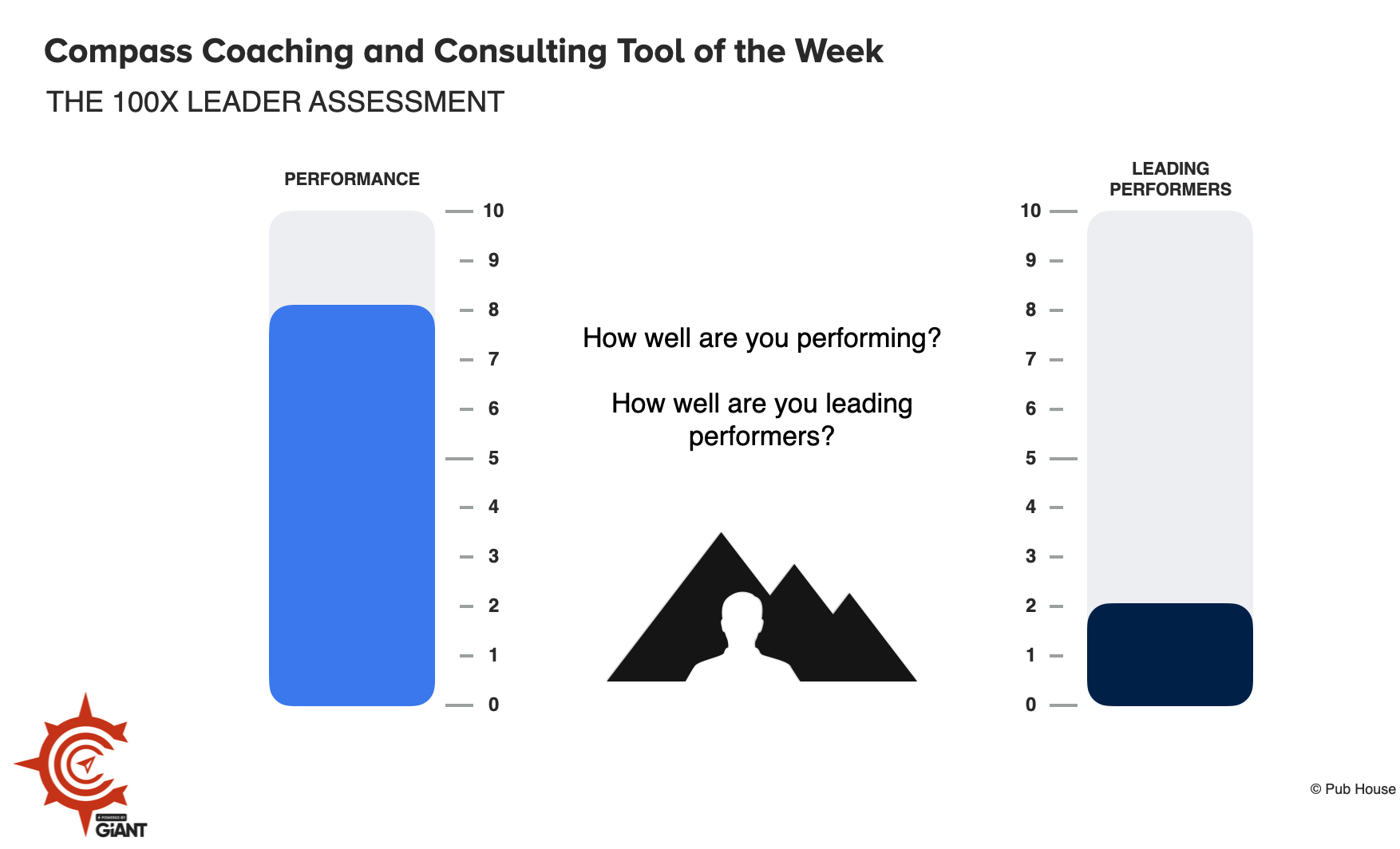 The 100X Leader Assessment | Compass Coaching and Consulting